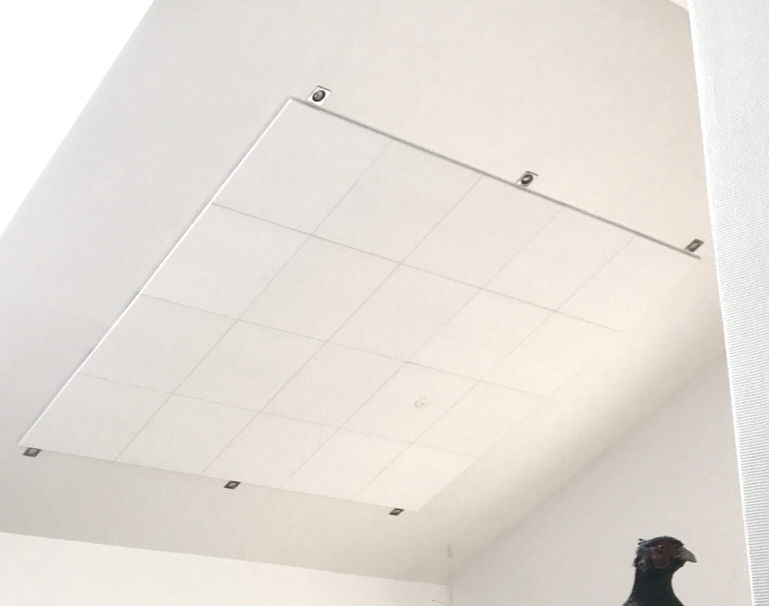 Færdigpakke +. Plader til oplimning 20 mm inkl. lim og akustik billede ...